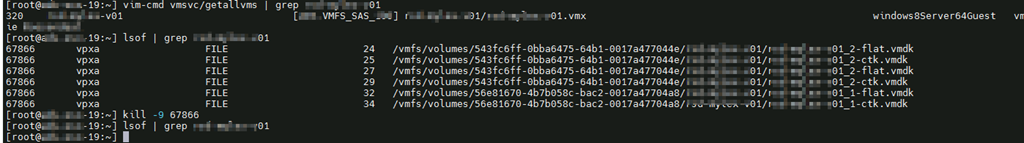 File locks on vSphere | My travels through the IT world